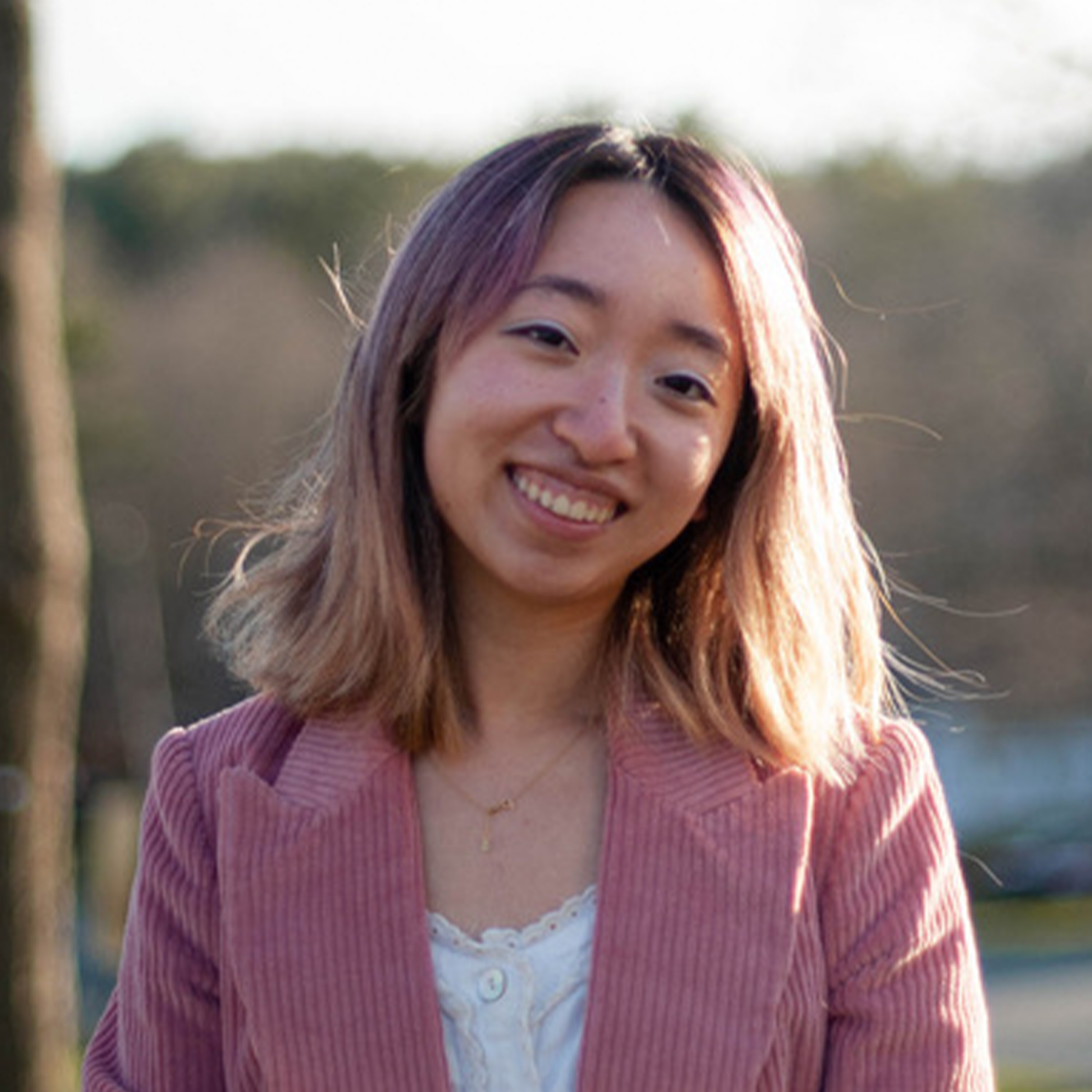 CyberAI | Center for Security and Emerging Technology